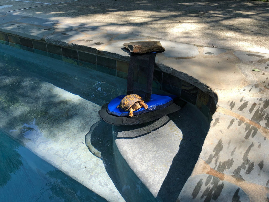 Checkout The Photo Gallery Of The FrogLog Products