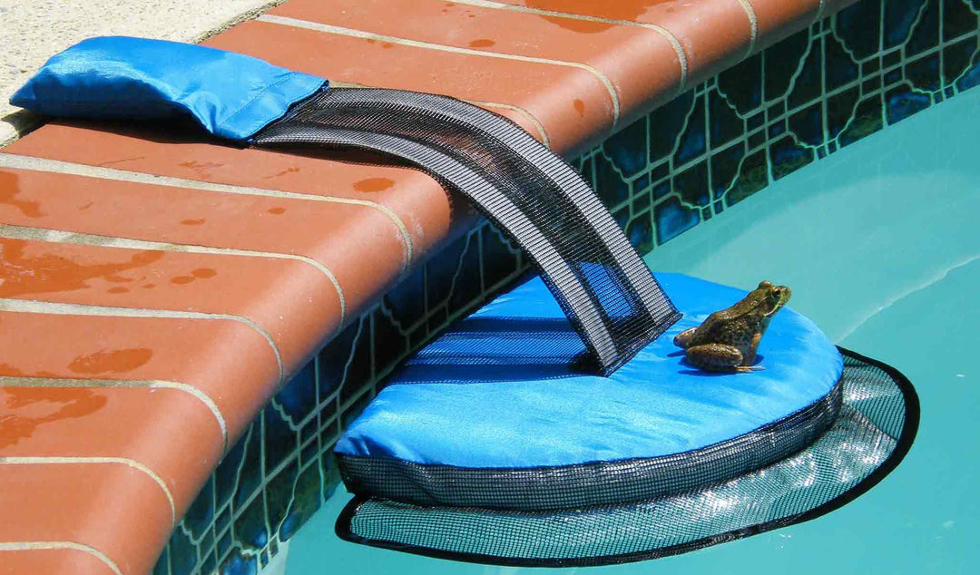 FrogLog: Keeps Frog & Other Animals Out Of Your Swimming Pool