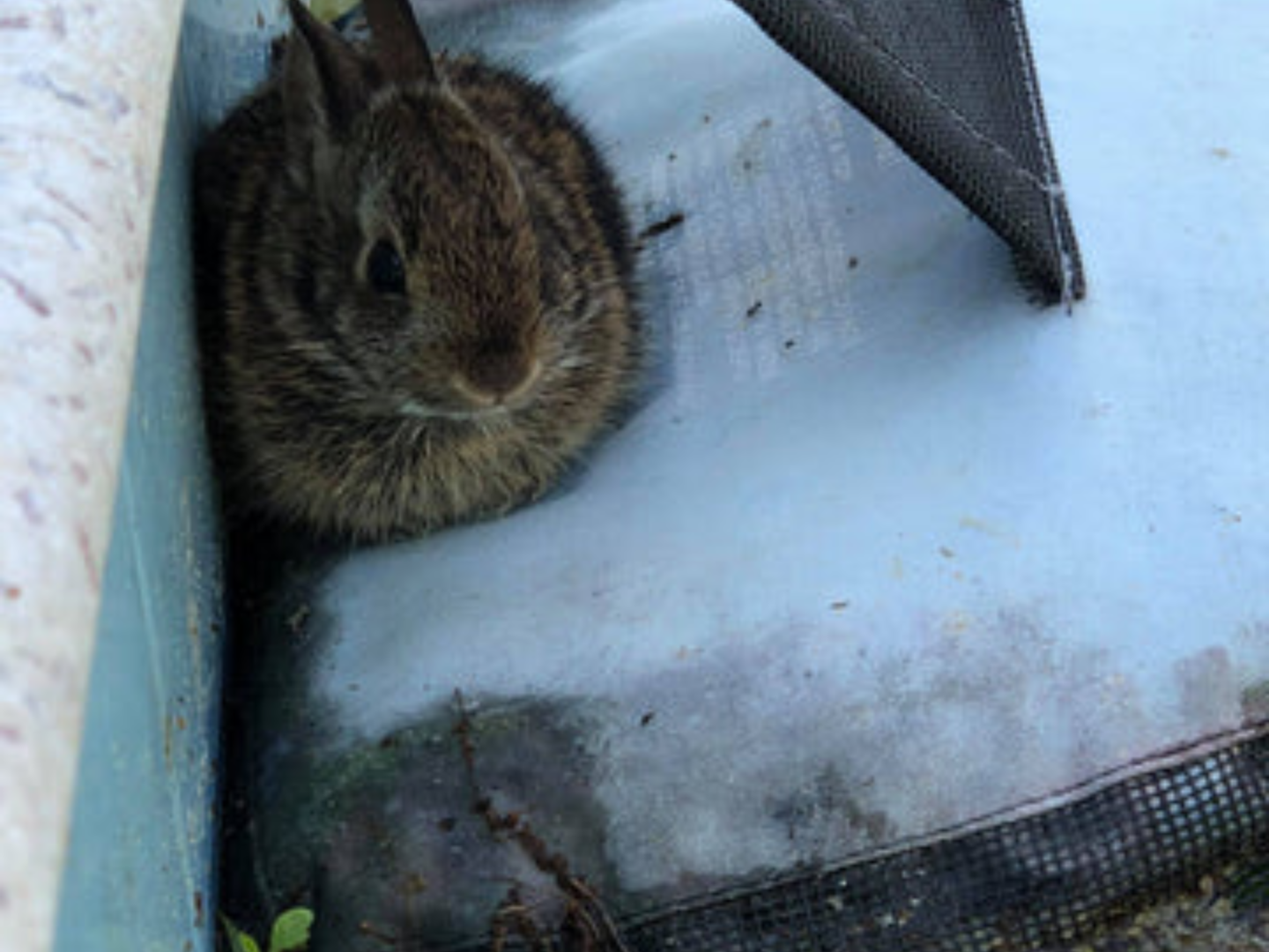 Checkout The Photo Gallery Of The FrogLog Products