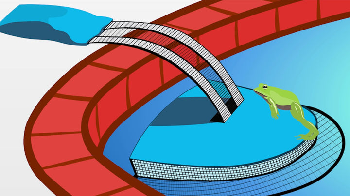 FrogLog: Keeps Frog & Other Animals Out Of Your Swimming Pool