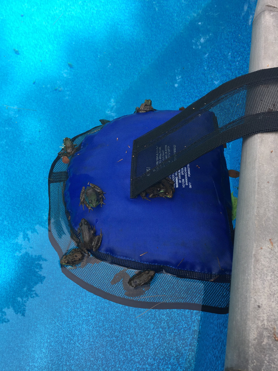 The Original FrogLog: Unique, Effective And Simple To Use