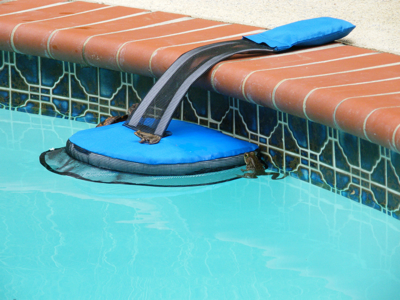 FrogLog: Keeps Frog & Other Animals Out Of Your Swimming Pool